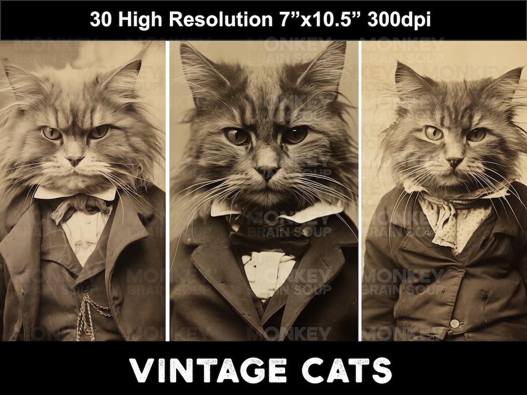 Vintage Style Photos of Cats. Printable Download Pack of 30 High ...