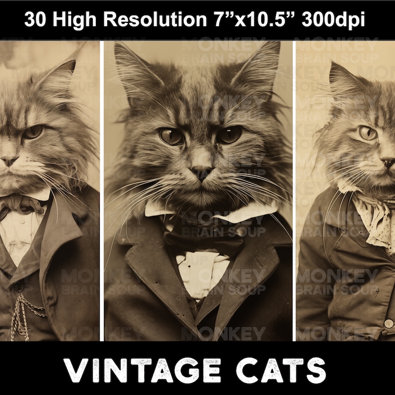Cat Collage - Etsy