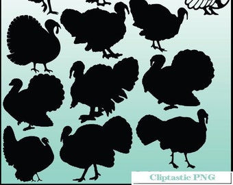 Turkey clip art | Etsy