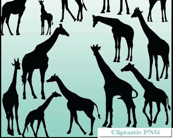 Giraffe clip art | Etsy
