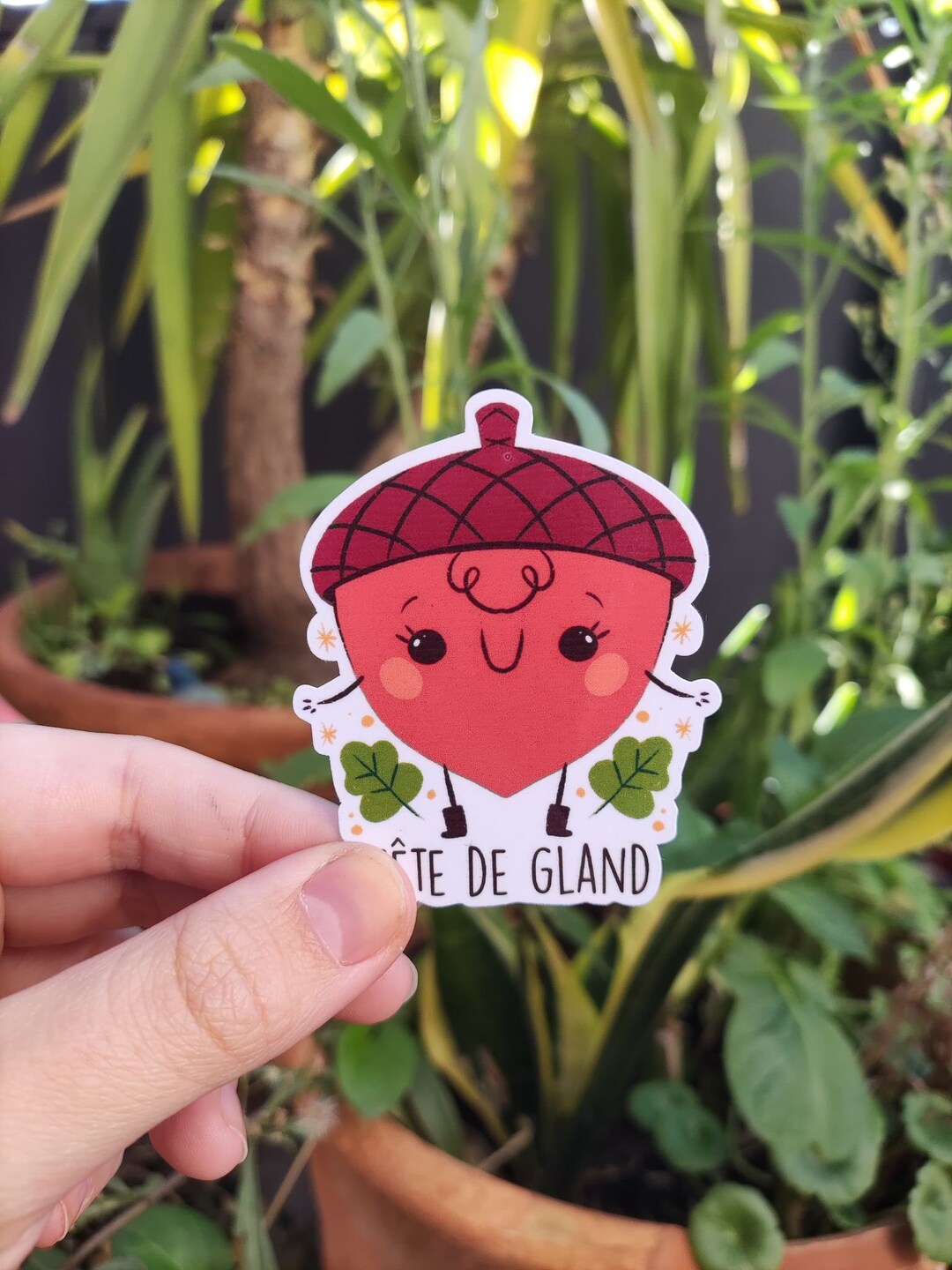 Laminated Sticker acorn Head / Dark Humor Sticker / Funny Gift Idea - Etsy