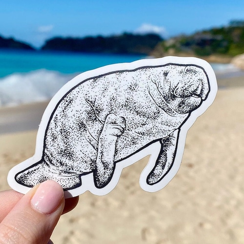 Manatee Sticker Vinyl Animal Holographic Sticker Wildlife - Etsy