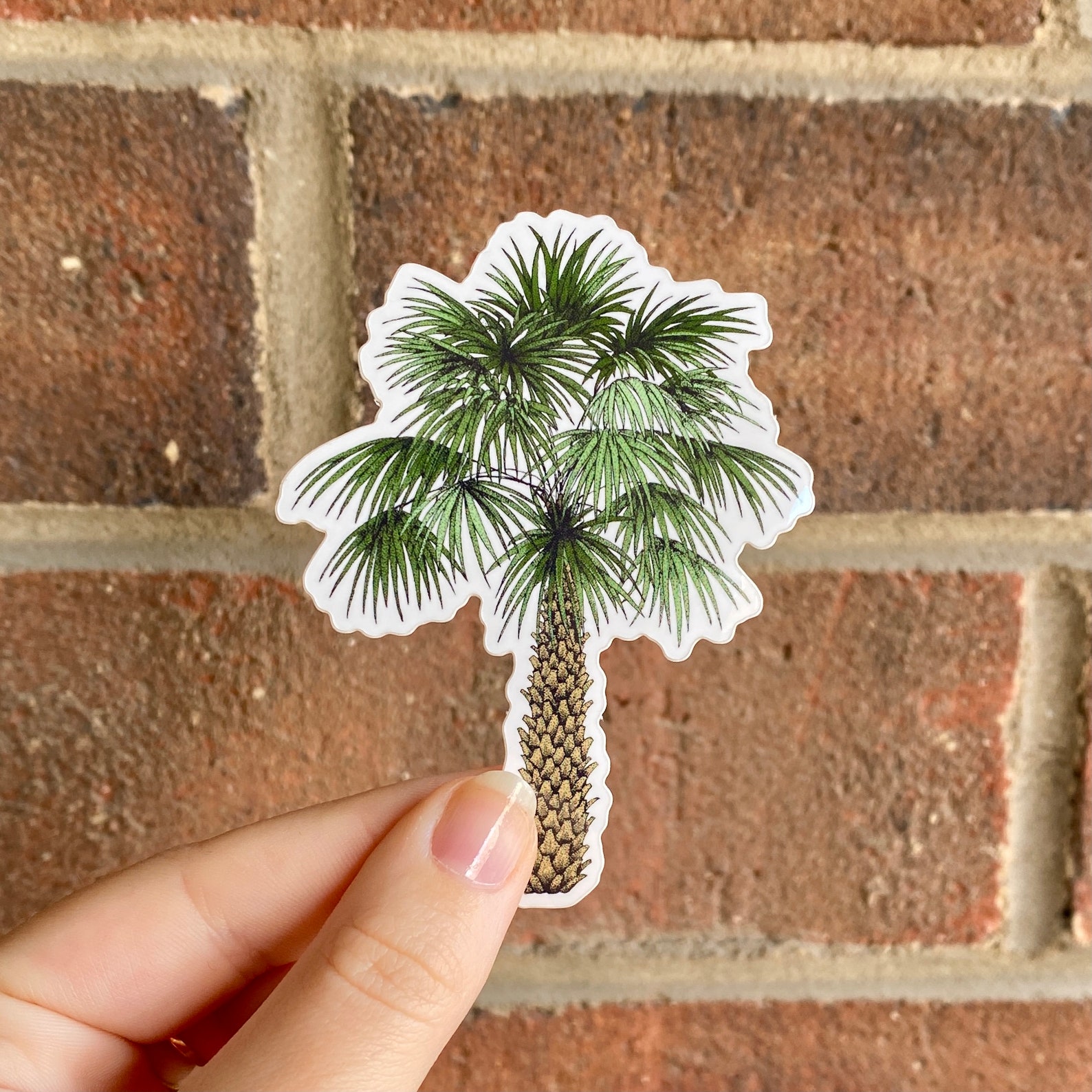 Charleston, South Carolina Sticker Pack - Etsy