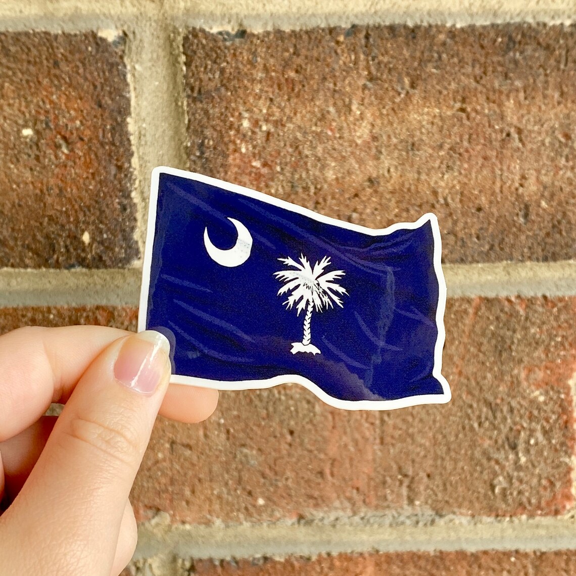 Charleston, South Carolina Sticker Pack - Etsy