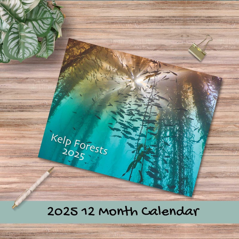 Nature Calendar - Etsy
