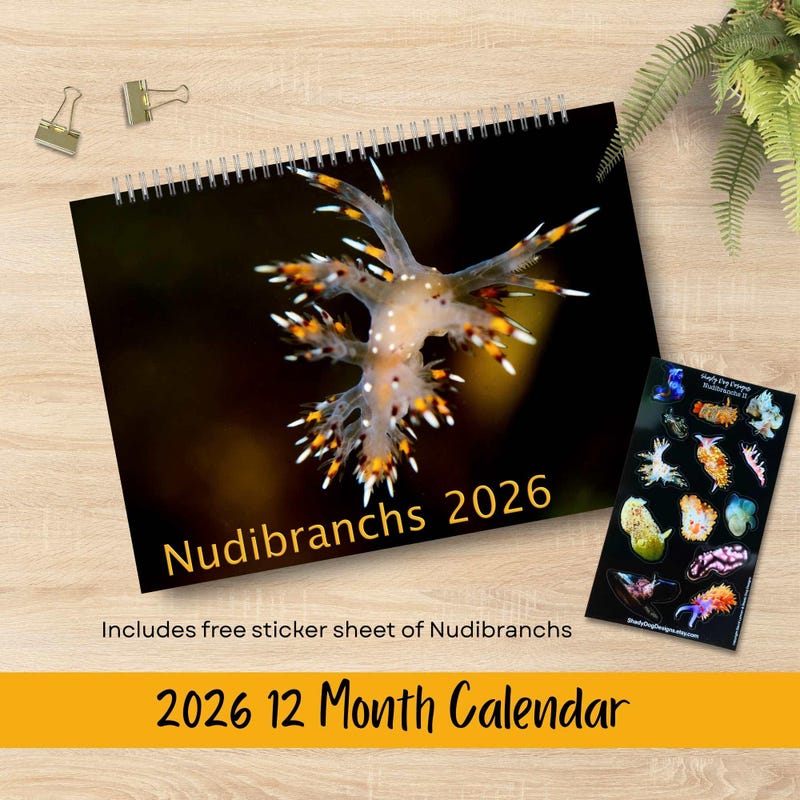 2026 Sea Animal Calendar - Etsy