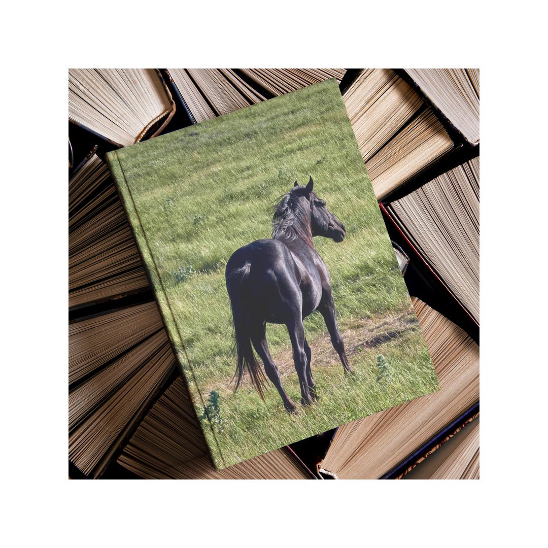 Black Nokota Stallion Horse Photograph Hardbound Notebook | Wild Equine ...