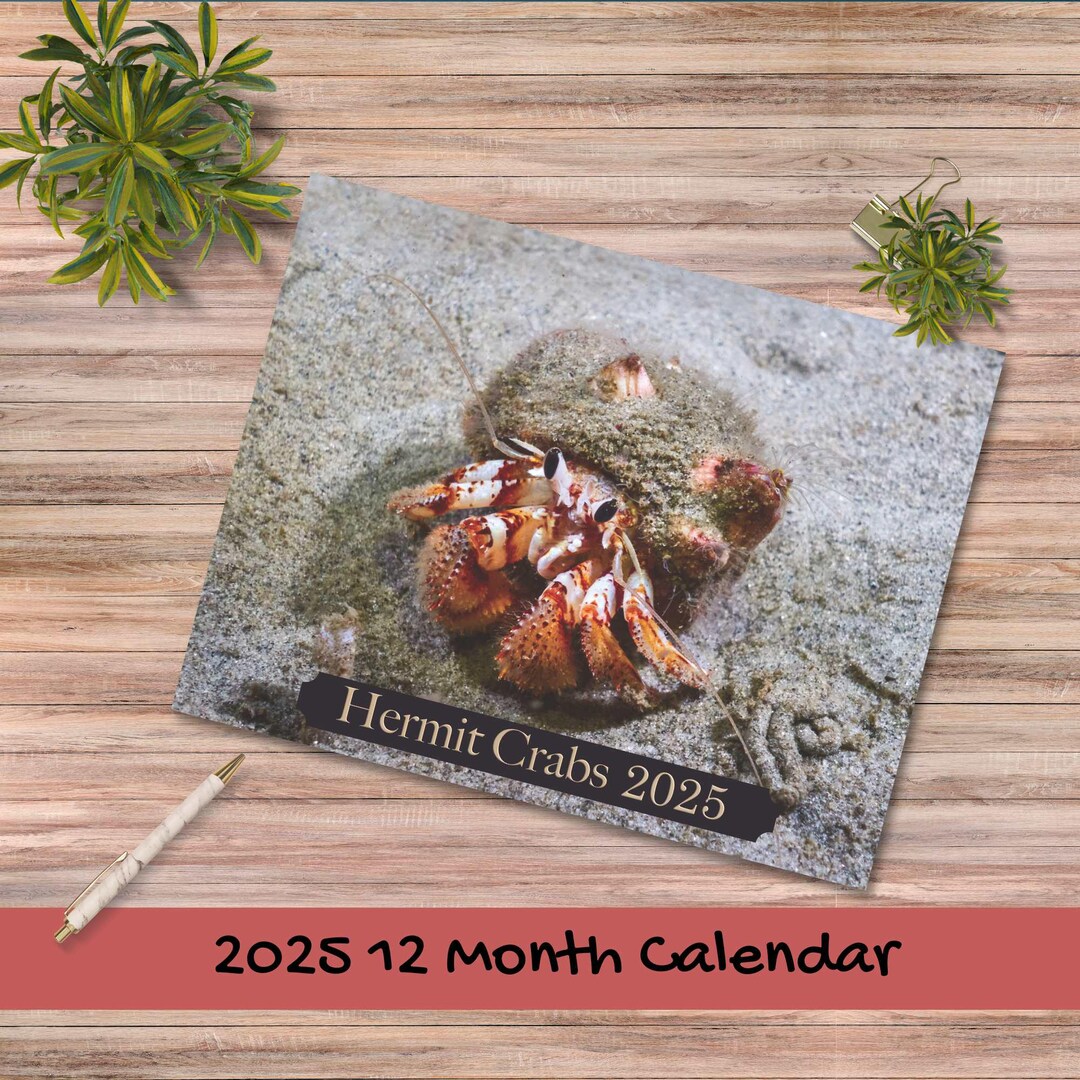 Hermit Crab Calendar | Ocean Animal Planner | Underwater Nature ...