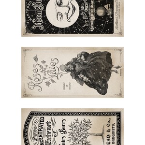 Printable Apothecary Potion Labels | DIY Halloween Decor | Digital ...