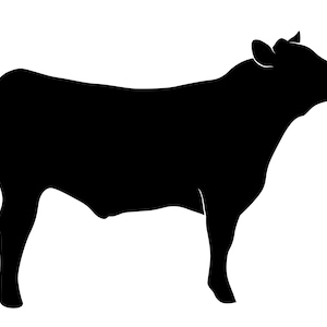 Cow Steer Silhouette Svg + Eps Clipart | Youth Livestock Show | .png ...