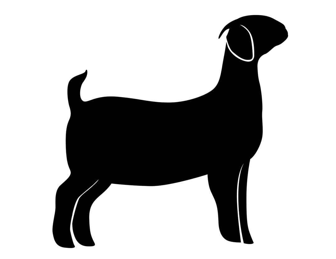 Boer Goat Silhouette Clipart: 4-H FFA Livestock Show (digital Download ...