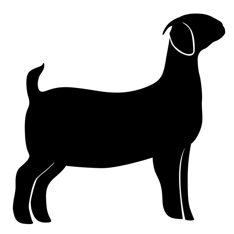Showgoats.com Show Goats - Etsy Canada