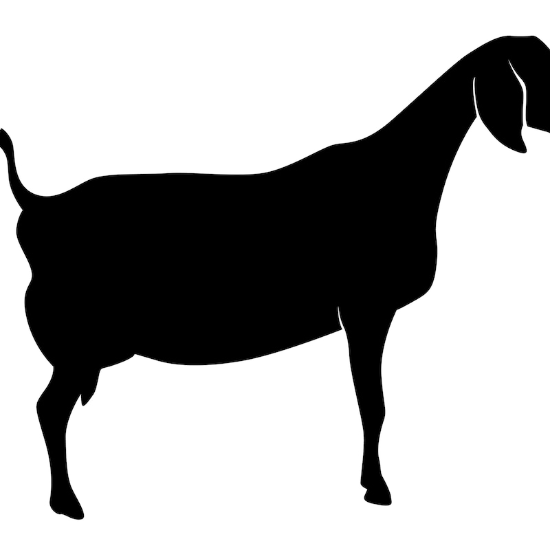 Nubian Svg - Etsy