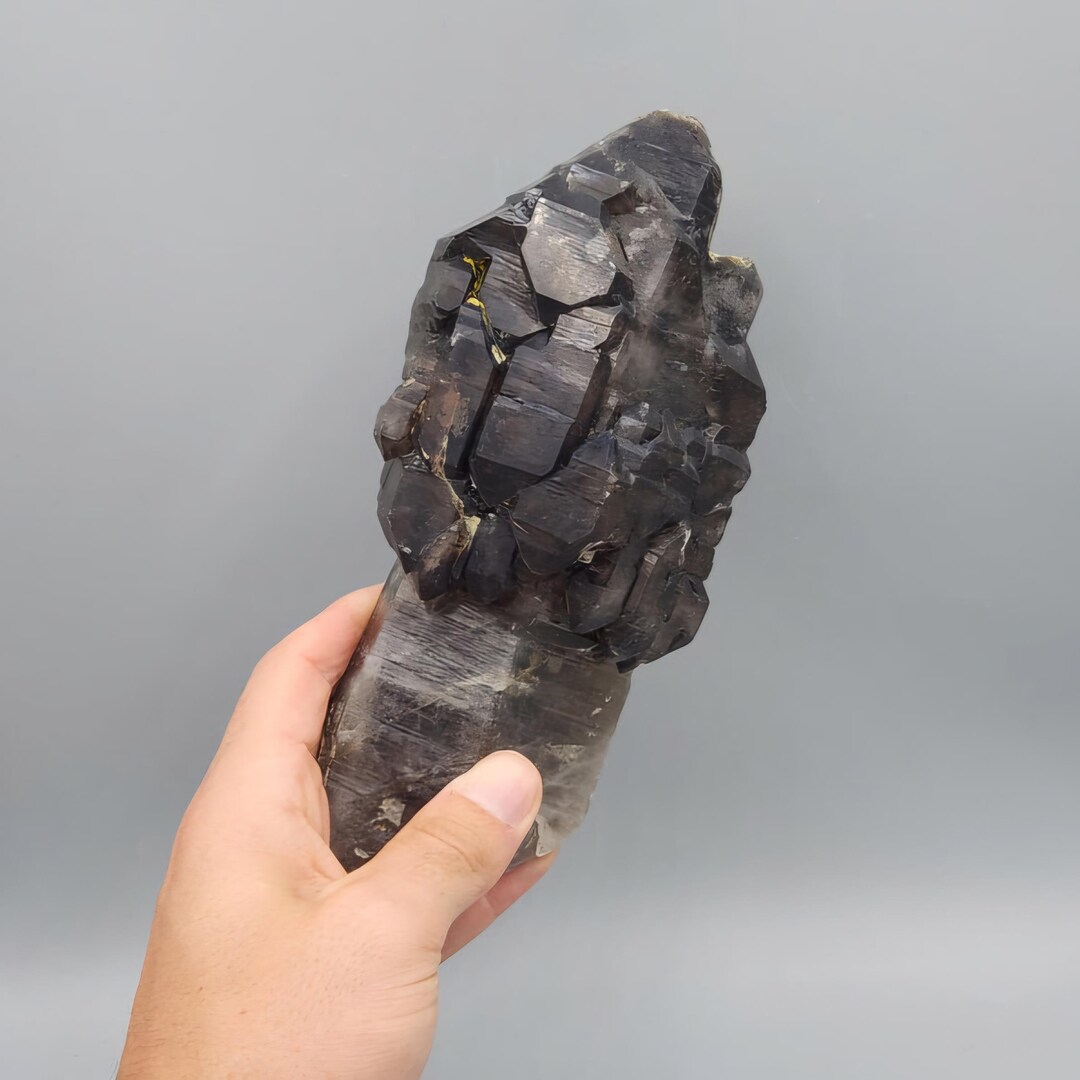 Rare Natural Elestial Black Morion Quartz Scepter – Unique Geological ...
