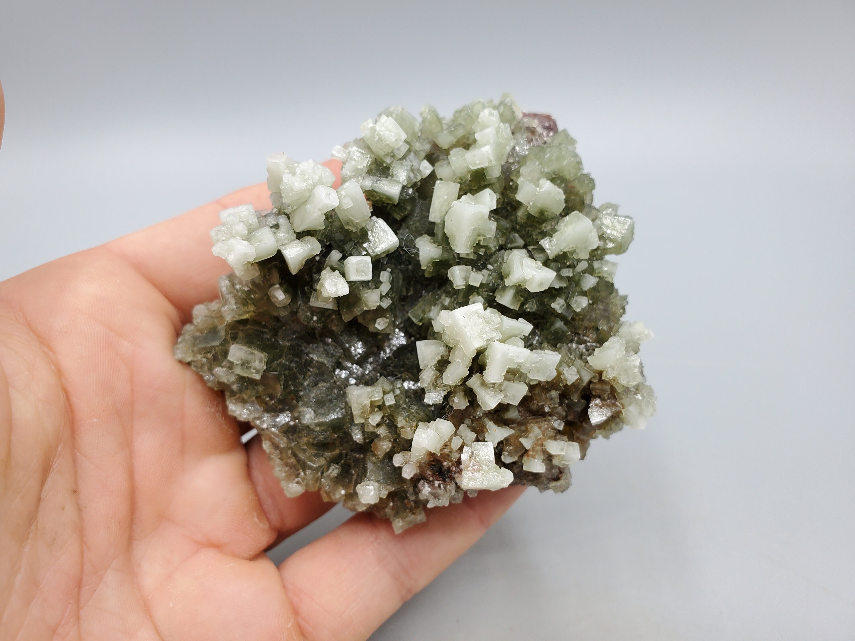 Green Skeletal Halite Crystals With Tolbachite - Etsy