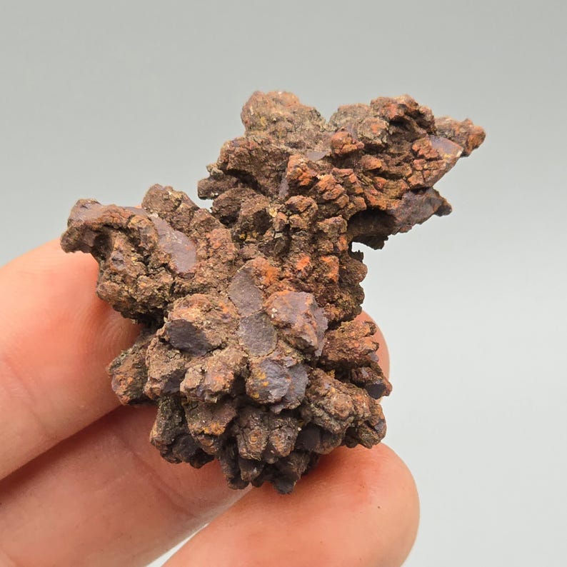 Coprolite – Nodular Iron-rich Trace Fossil From Madagascar (32 G) - Etsy