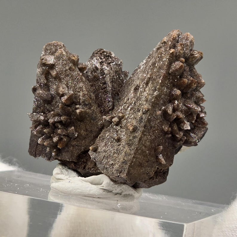 Scalenohedral Calcite Crystals With Brown Micro-calcite Overgrowth ...