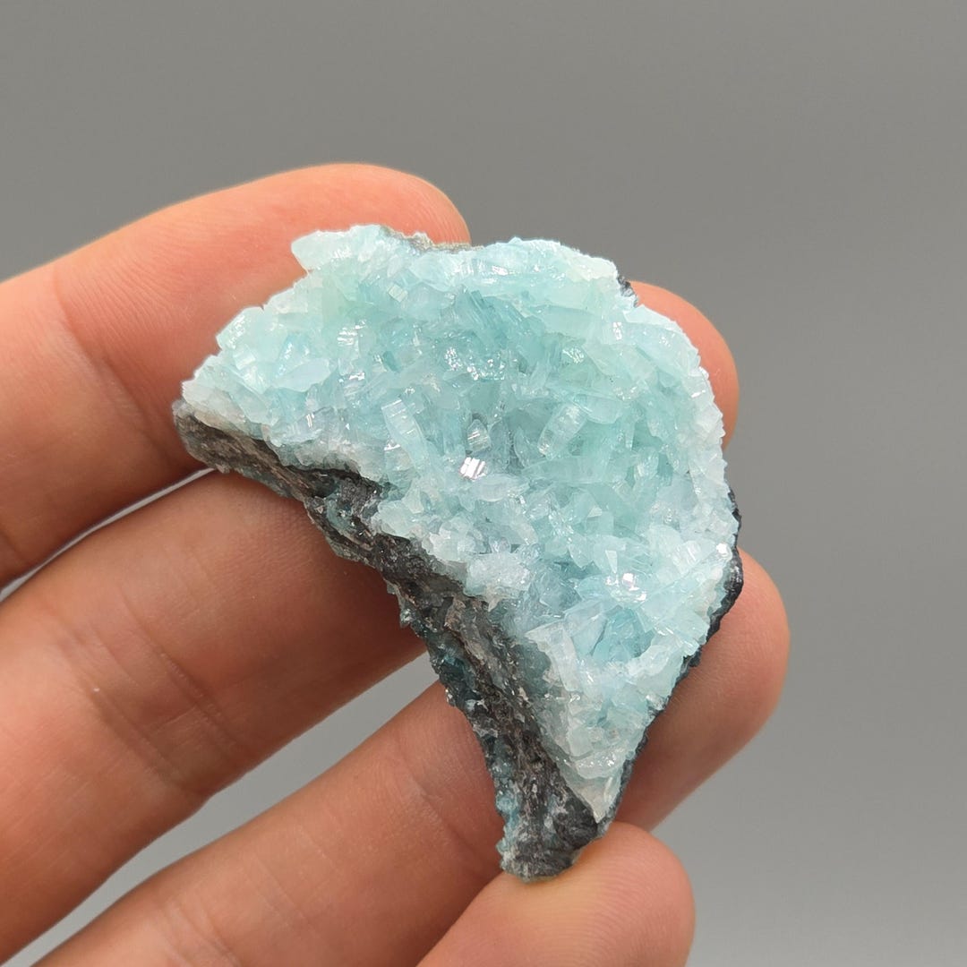 Crystallized Borcarite on Matrix – Electric Blue From San Bartolo Mine ...