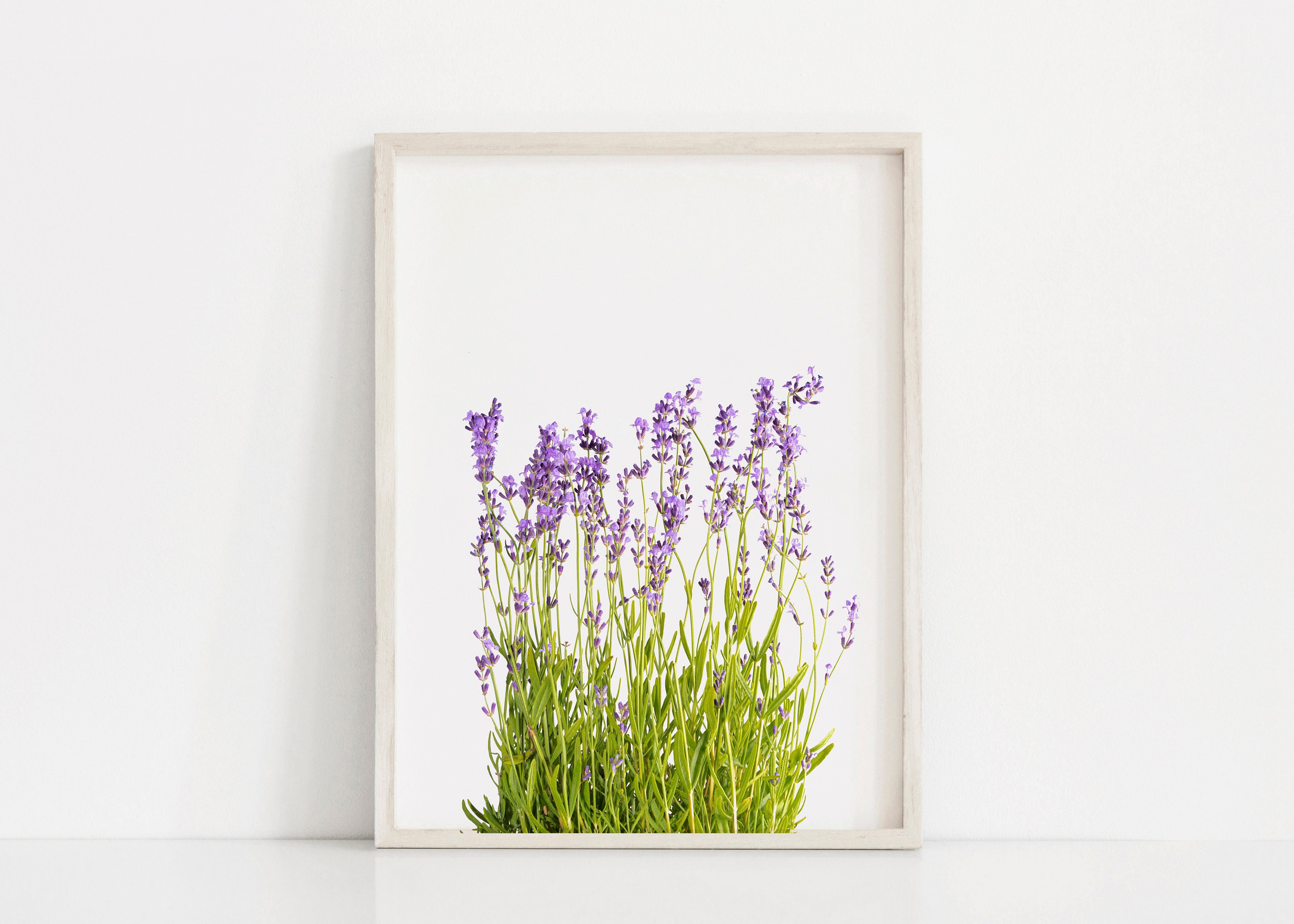 Lavender Wall Art, Printable Wall Art, Farmhouse Wall Deco, Lavender ...
