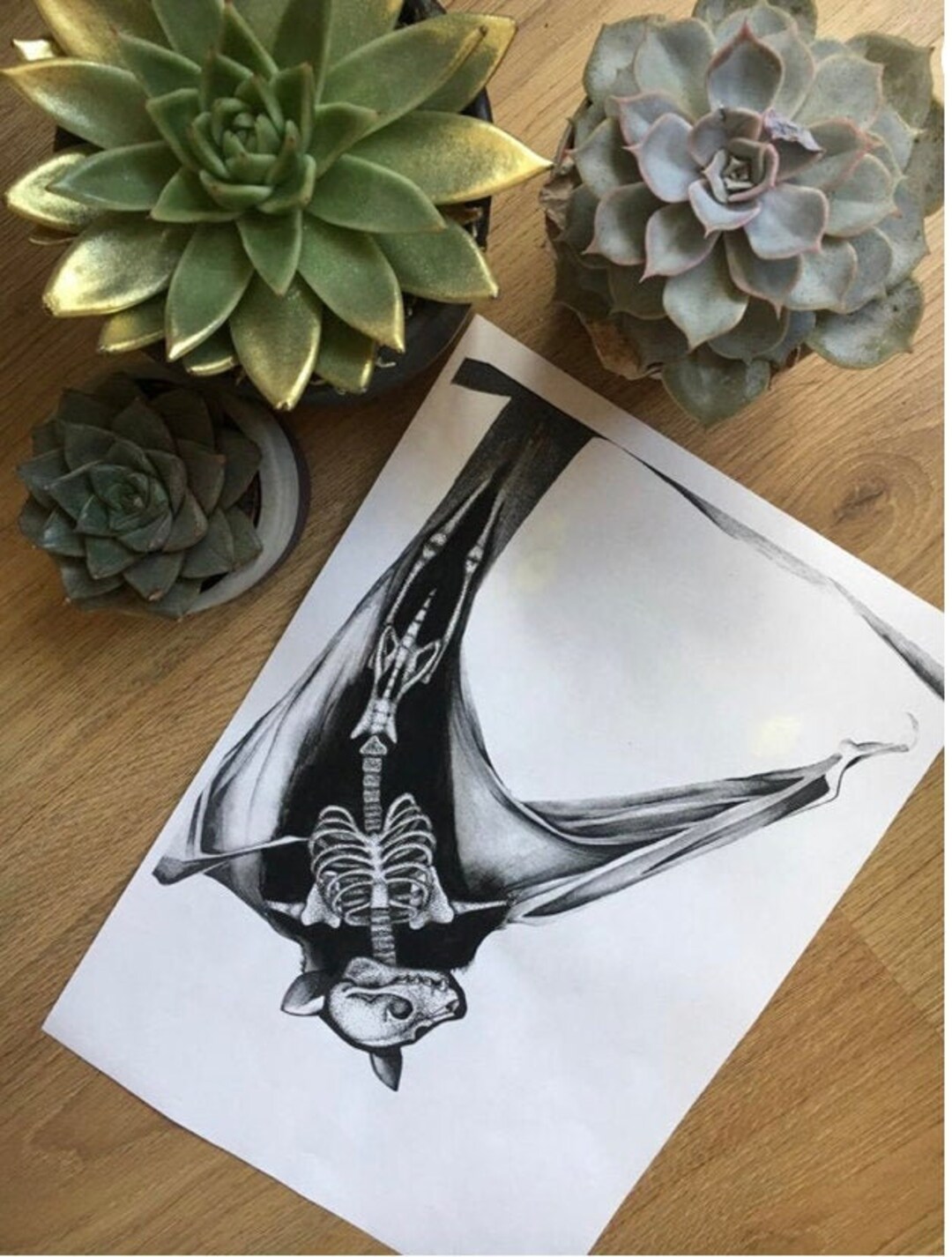 X-ray and Stippling Art Work Collaboration - Etsy