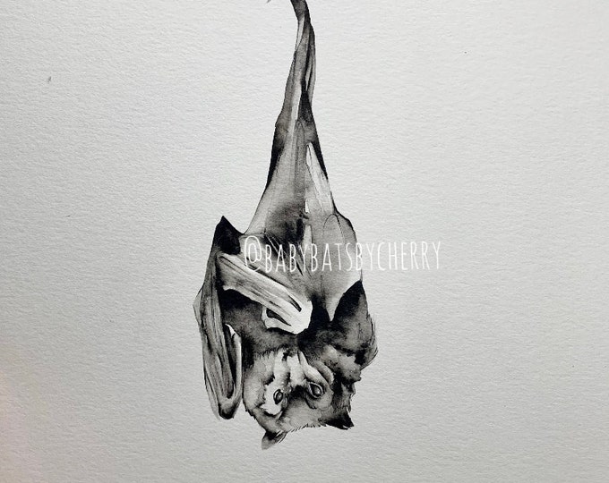 COCO: Watercolor Print on Paper, Art Print, Cute Bats, Bat, Bats ...