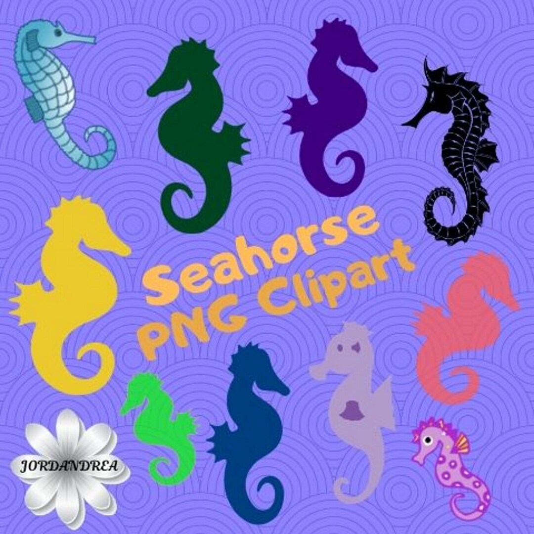 Colorful Seahorse Digital Clipart PNG Graphic Image Set, With UNLIMITED ...