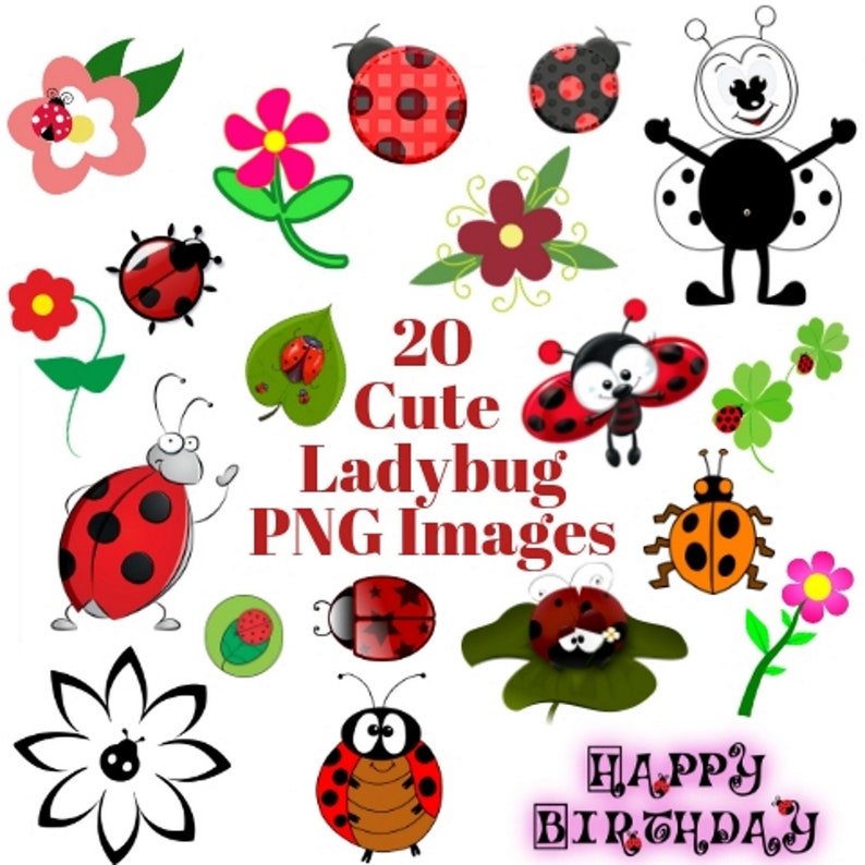 34 Cute Ladybug Image Clipart Set With UNLIMITED Personal & Commercial ...