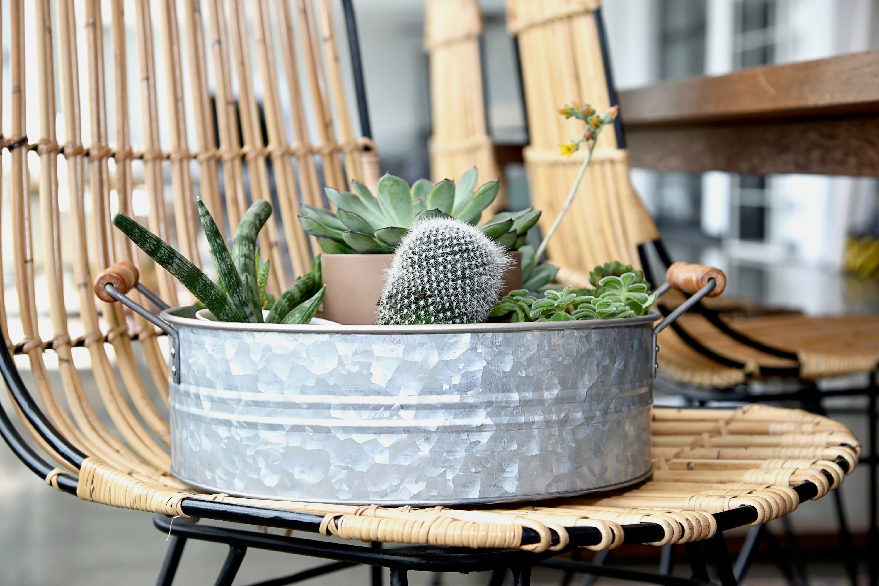 Galvanized Tub, Kitchen Countertop Storage, Decorative Tray With ...
