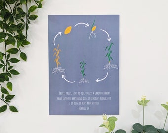 Mustard Seed Parable Scripture Art Print Catechesis of the Good ...