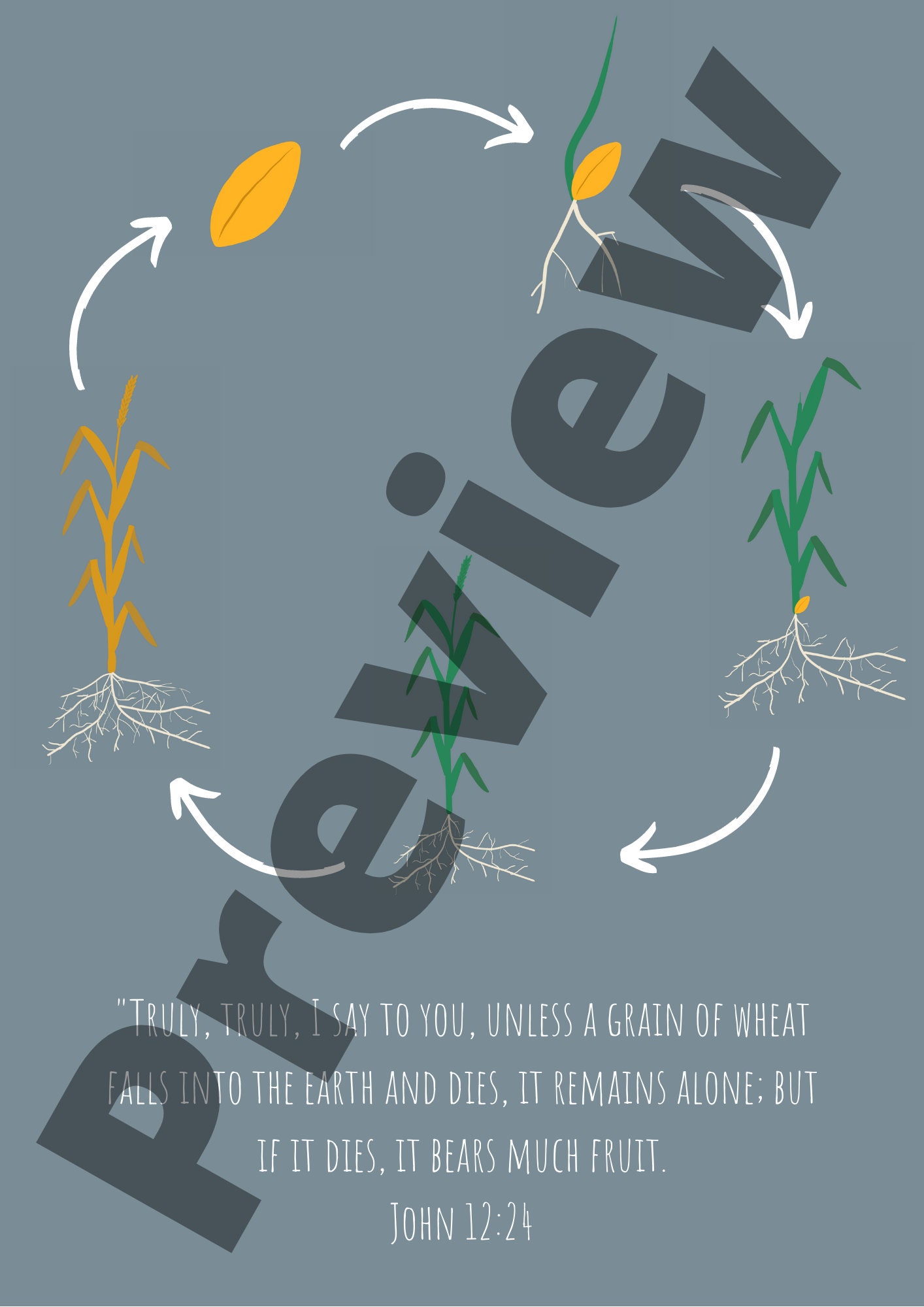 Printable Wheat Poster Parable Wheat Life Cycle - Etsy Australia