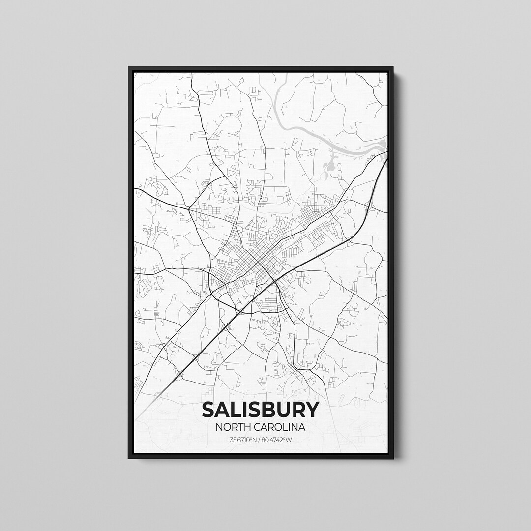 Salisbury North Carolina City Map Poster Art Map of - Etsy