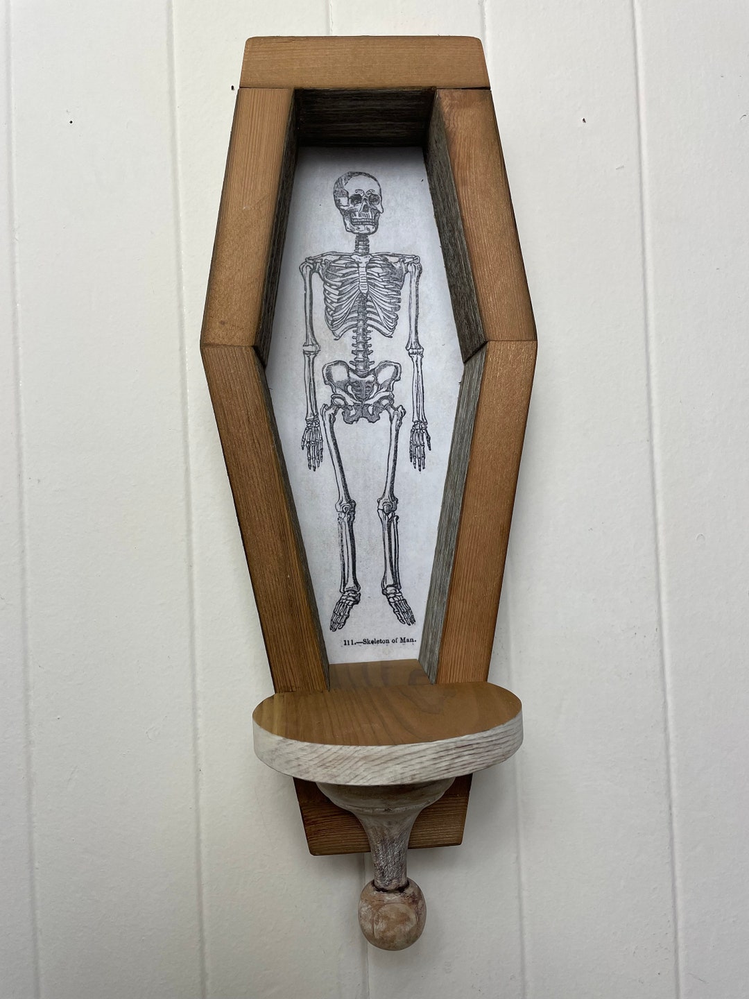 Wall Mounted Coffin Plant Display - Etsy