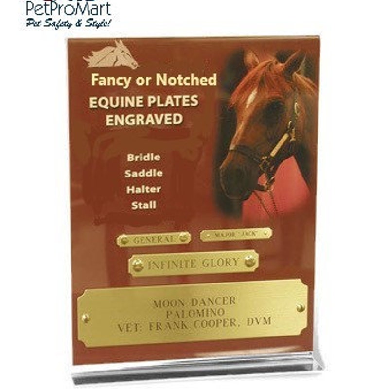 Brass Hardware Plates - Etsy