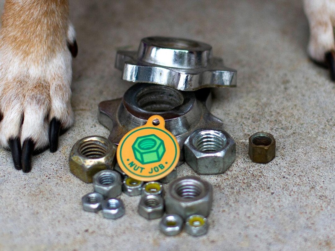 Nut Job Pet ID Tag Designer Dog Tag or Cat Tag With - Etsy