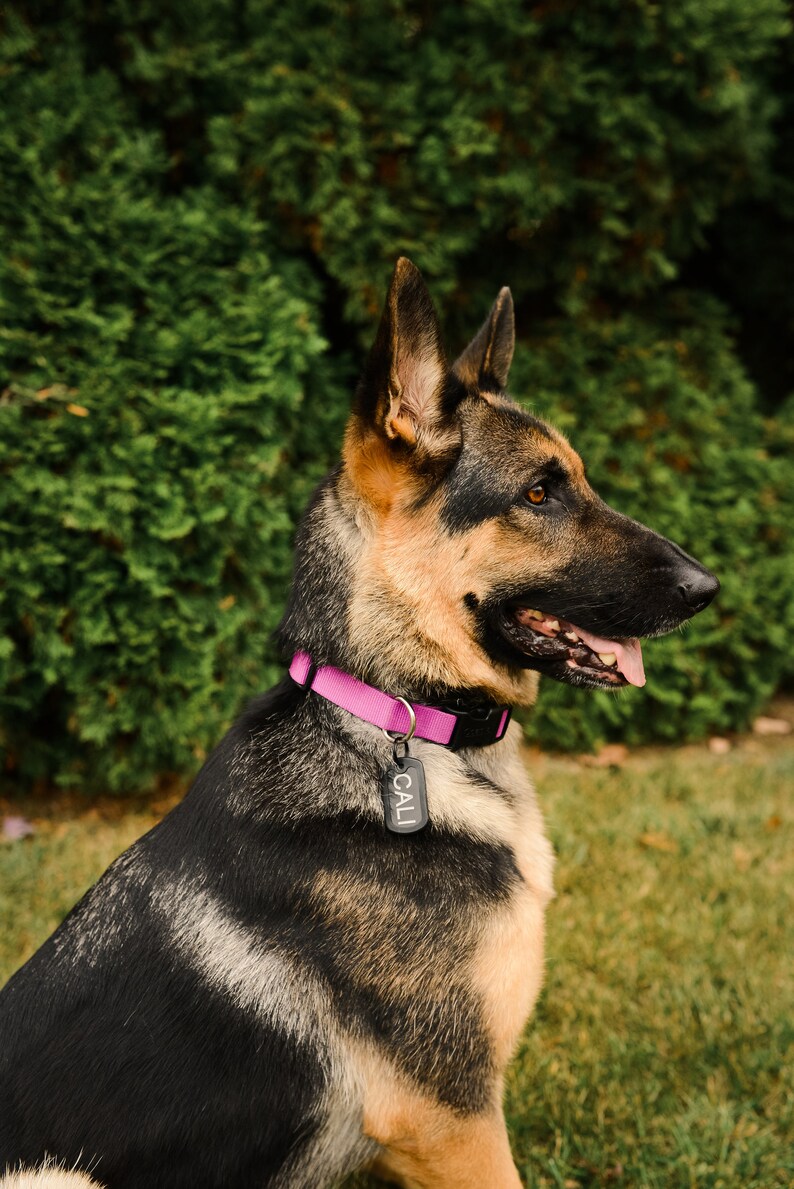 Made in USA Custom Engraved Dog Tags Personalized Military GI - Etsy