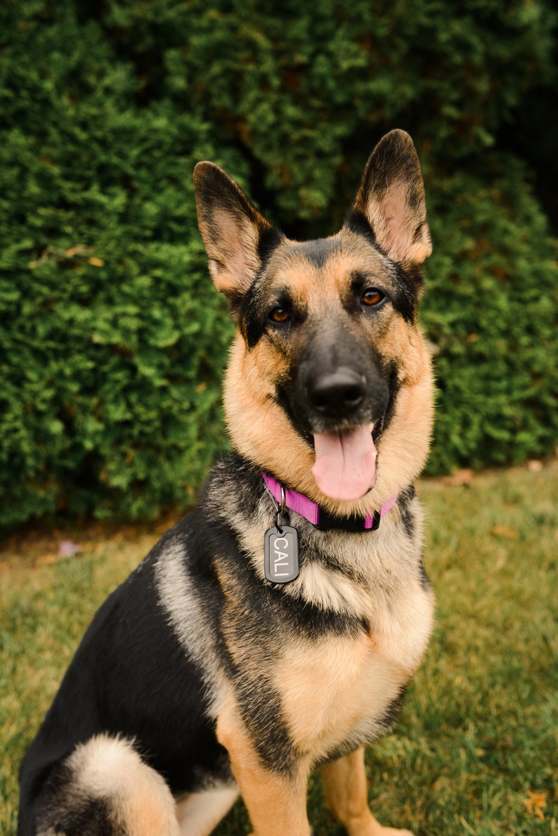 Made in USA Military GI Dog Tags Kit With Tag Silencer and - Etsy