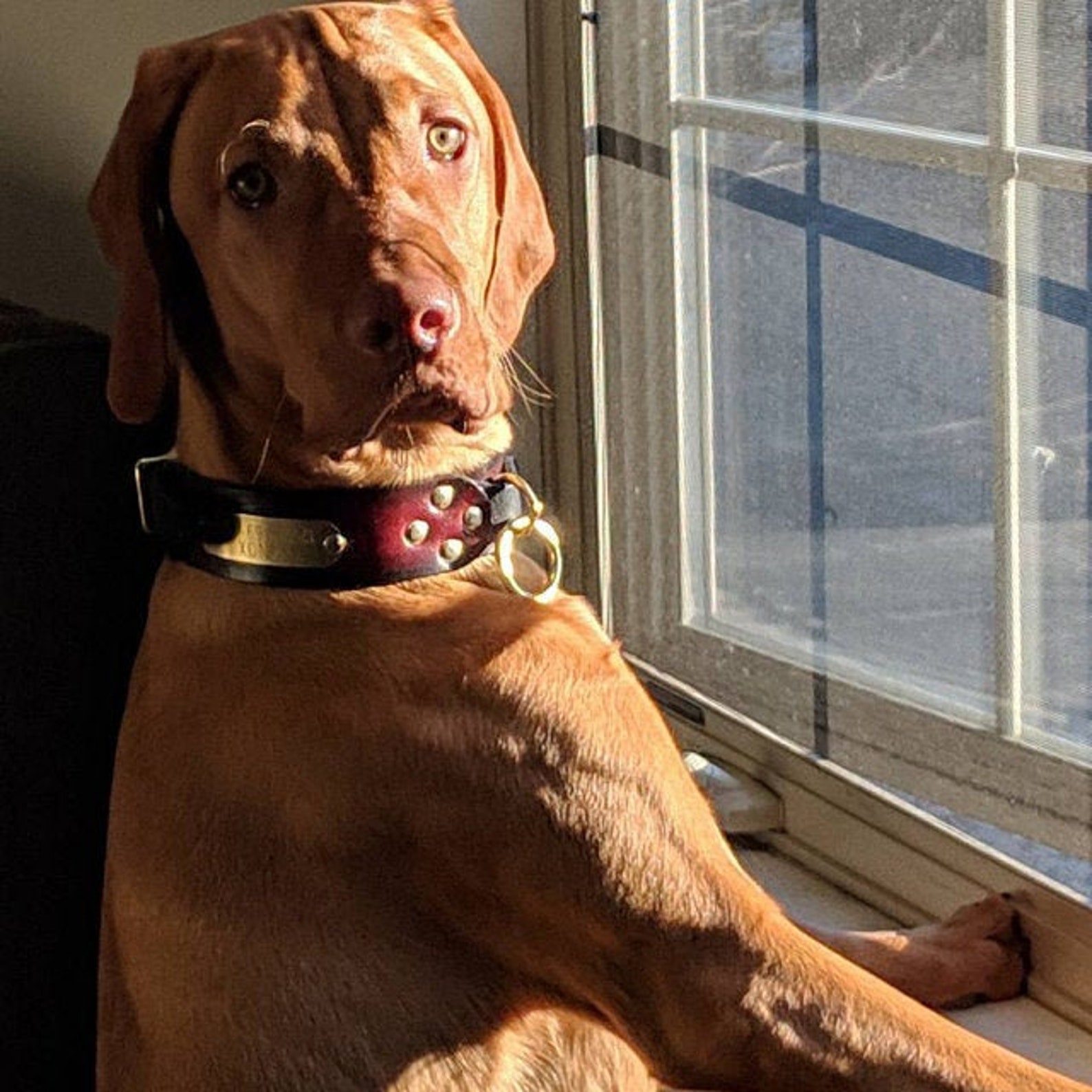 Custom Brass Rivet Tags Personalized Diamond Engraving | Etsy