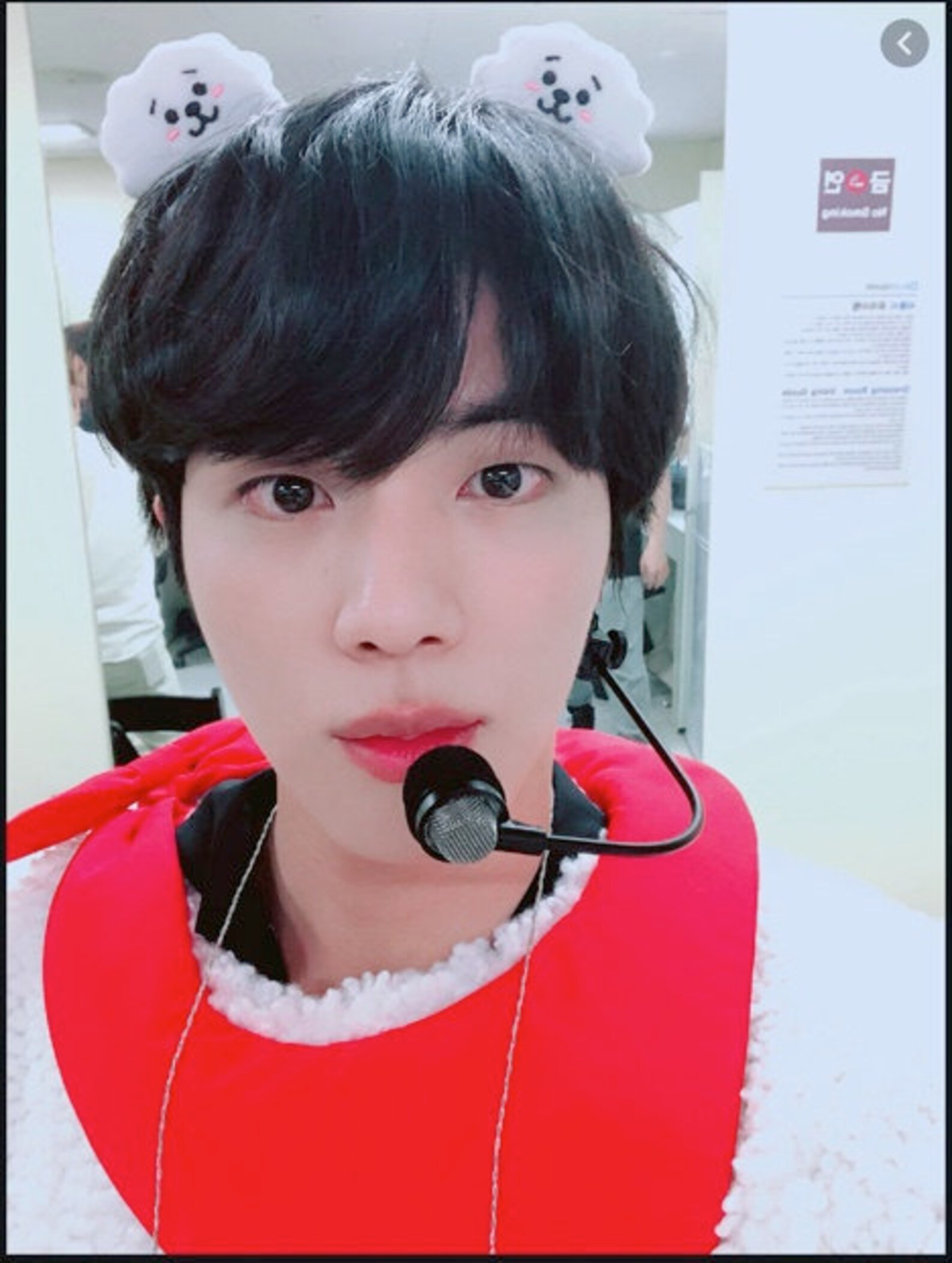 BTS rj-jin Alpaca Cosplay Figurine | Etsy