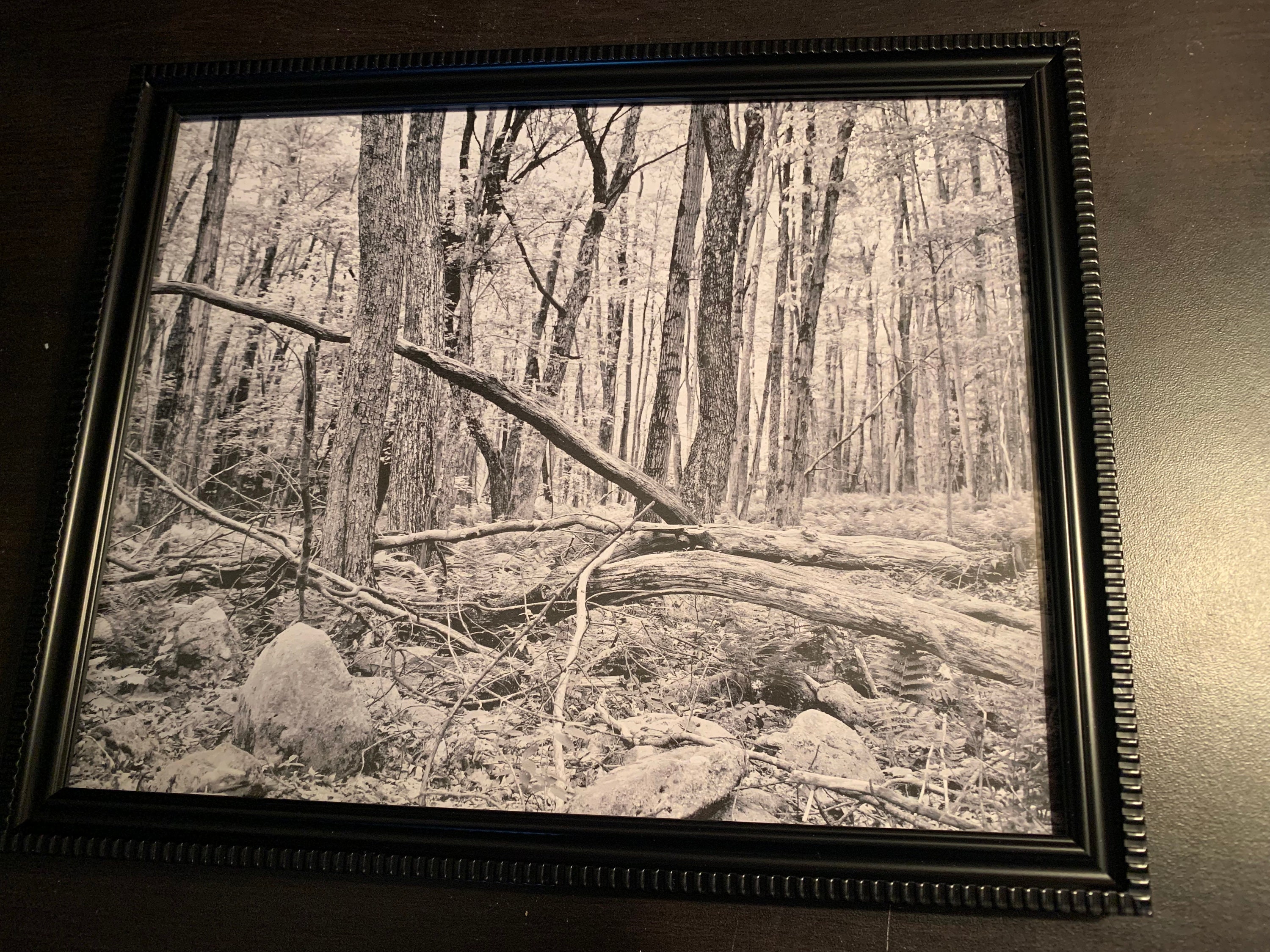 Black & White Trees #1 Framed 8x10 Picture - Etsy