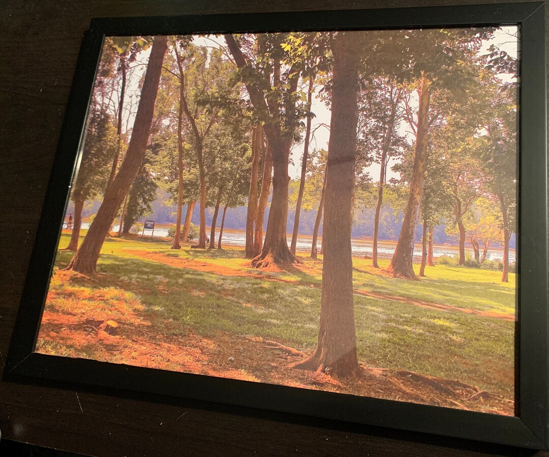 Trees in Park Framed 8x10 Picture - Etsy