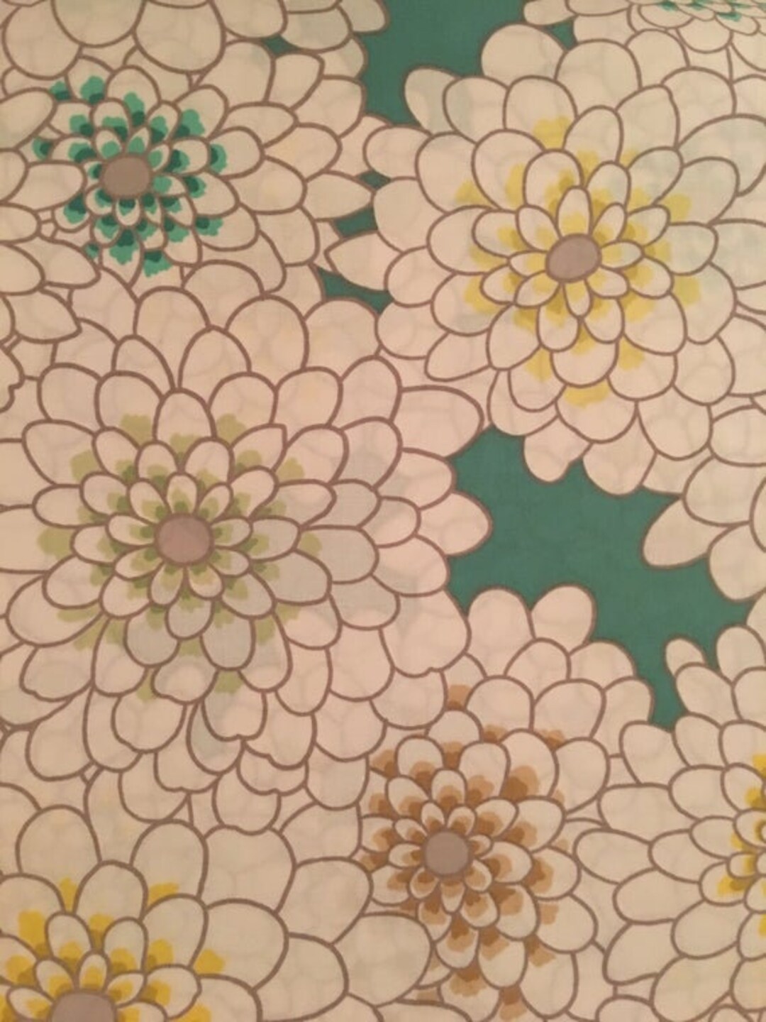 OOP Kaffe Fassett GP116 Line Dance White FQ - Etsy