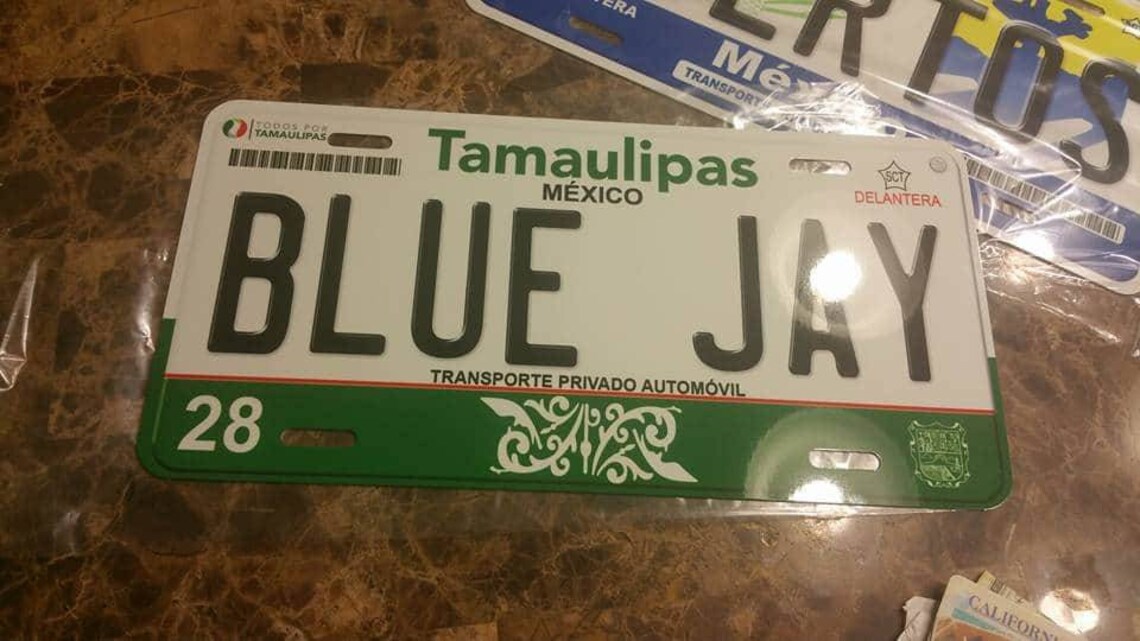 Tamaulipas Mexican License Plate Tamps Mexico - Etsy