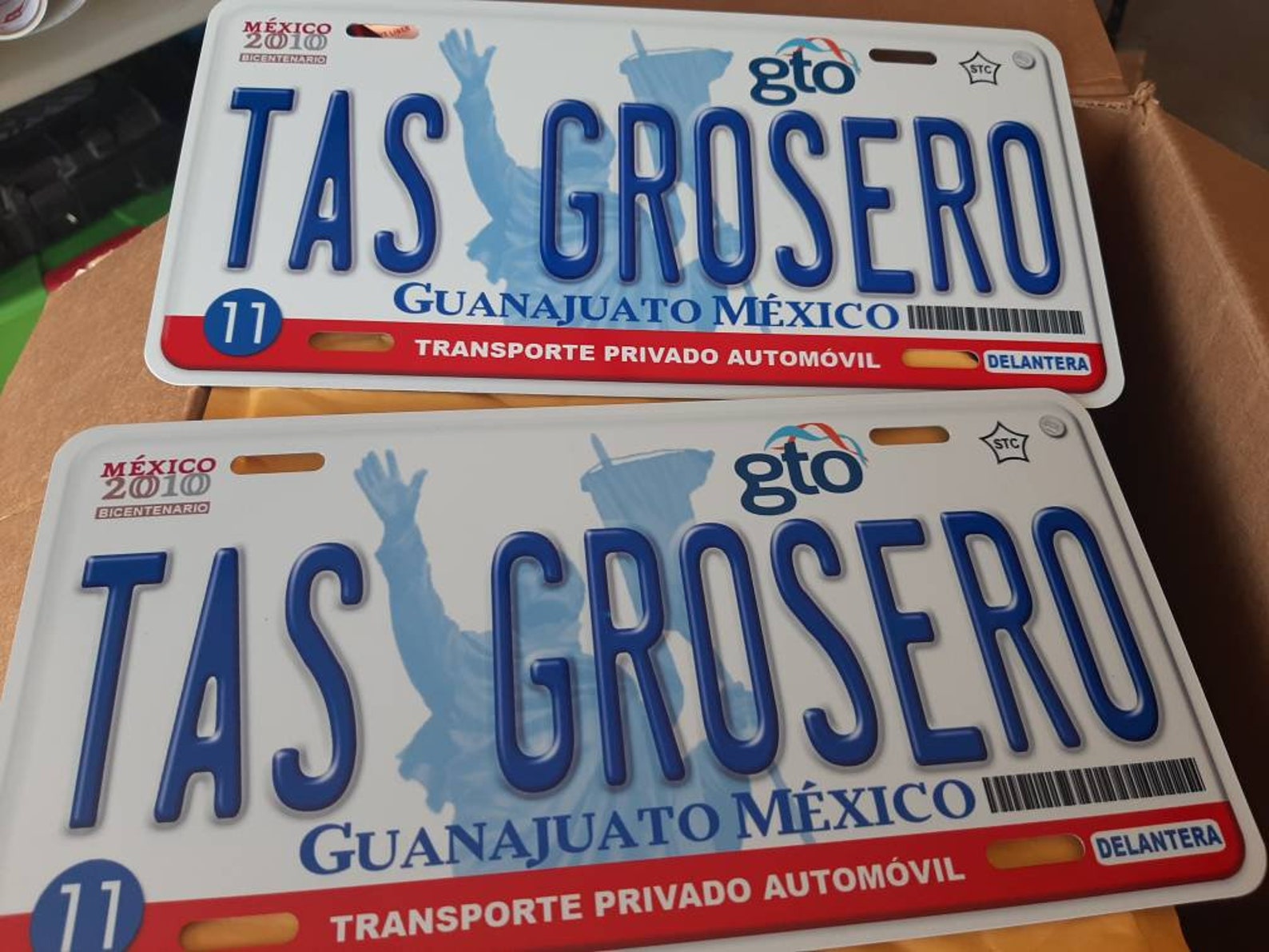 Guanajuato Custom License Plate ANY NAME - Etsy