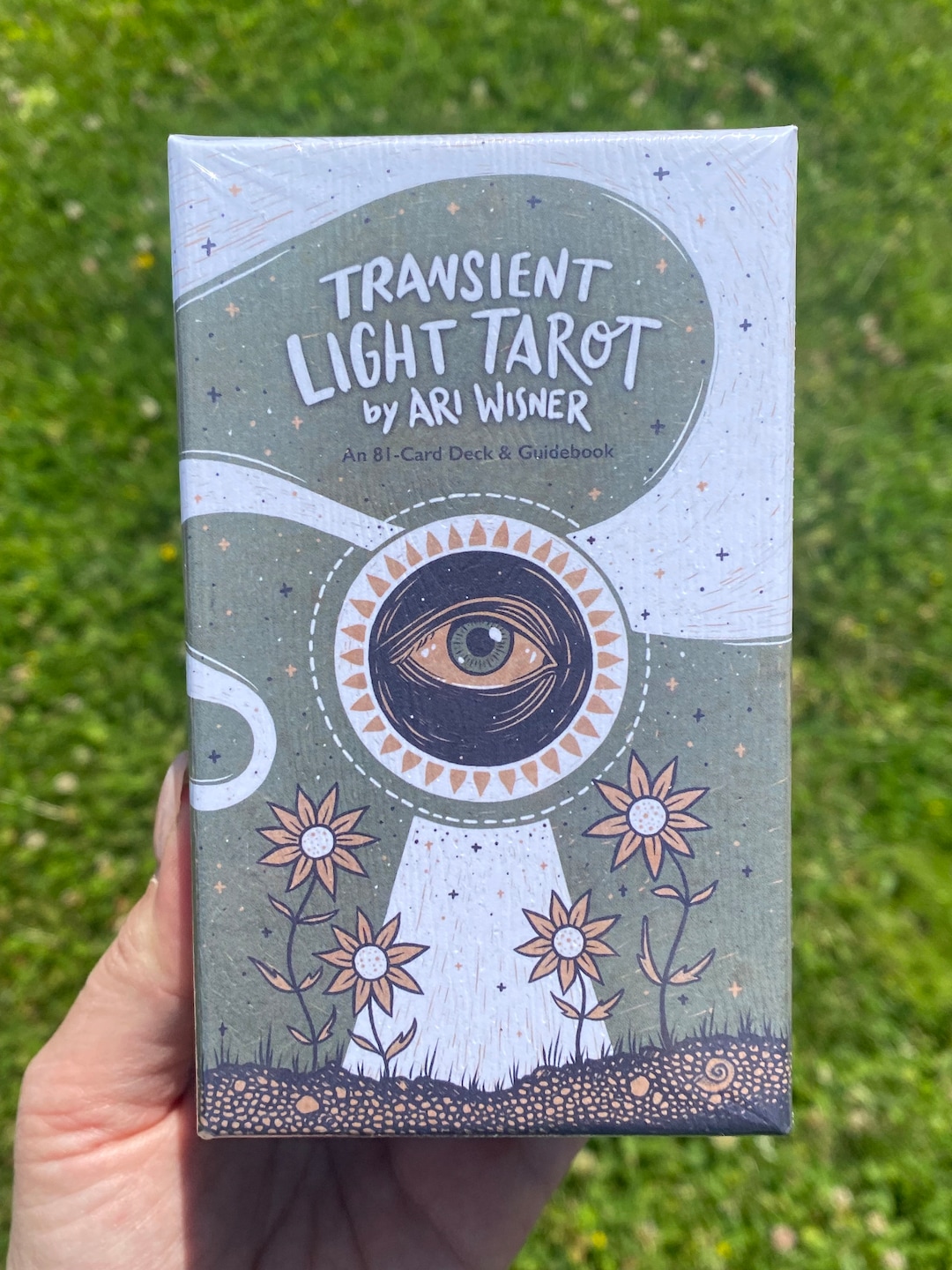 Transient Light Tarot an 81-card Deck and Guidebook - Ari Wisner ...