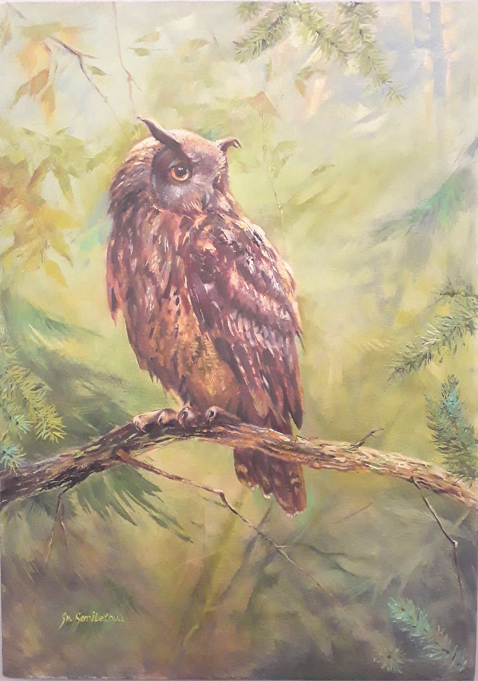 Owl Oil Painting on Canvas Original - Etsy