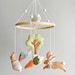 Peter Rabbit Mobile/rabbit Felt Mobile/mobile With Bunnies/bunny ...