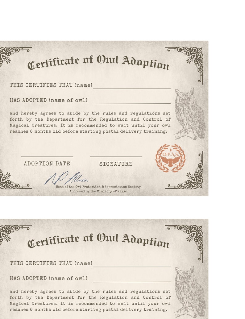 Printable Owl Adoption Certificate for Witchy Themed Party Decoration ...