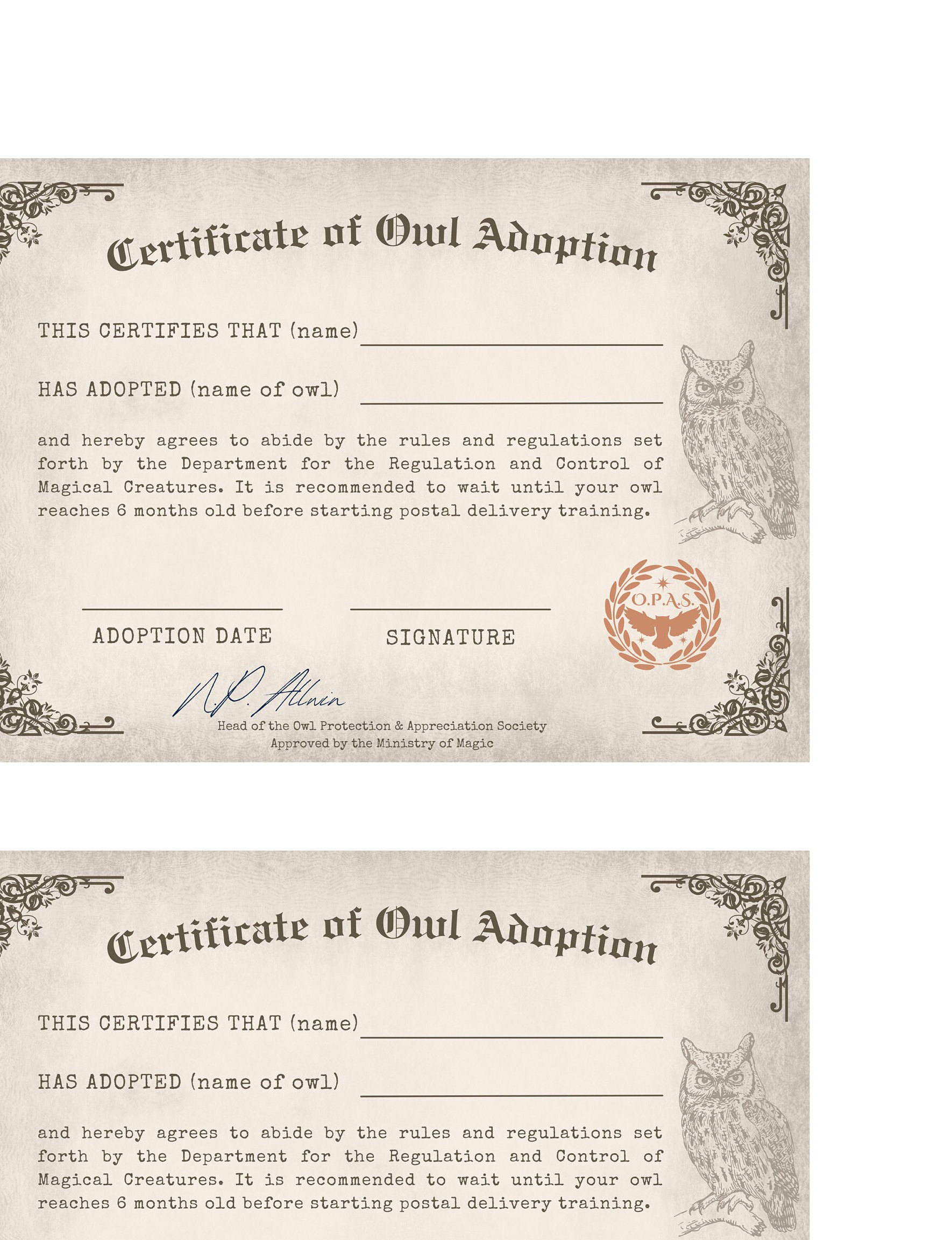 Printable Owl Adoption Certificate for Witchy Themed Party Decoration ...