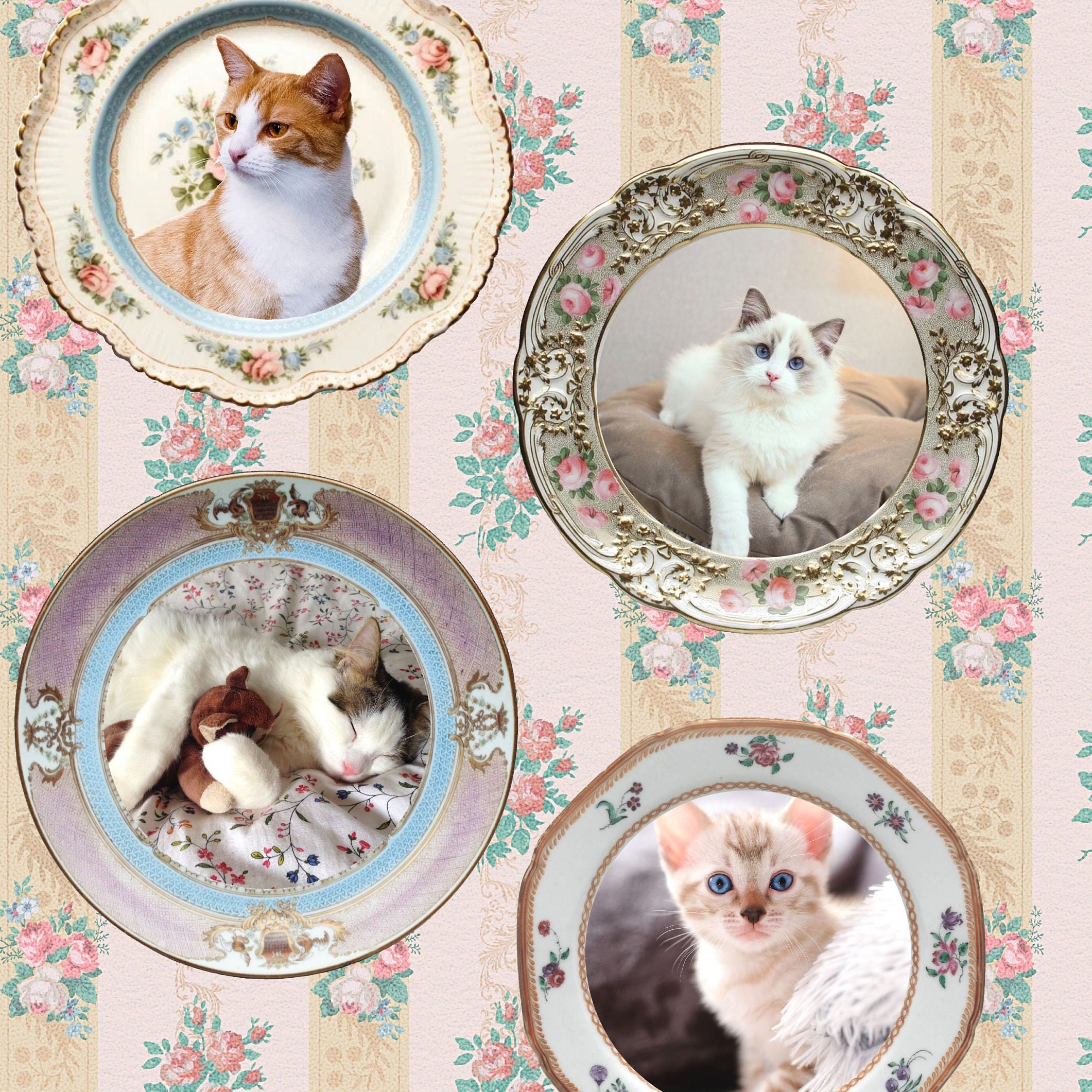 12 Printable Cat Plates Wall Decor for Crazy Cat Lady Wizard - Etsy
