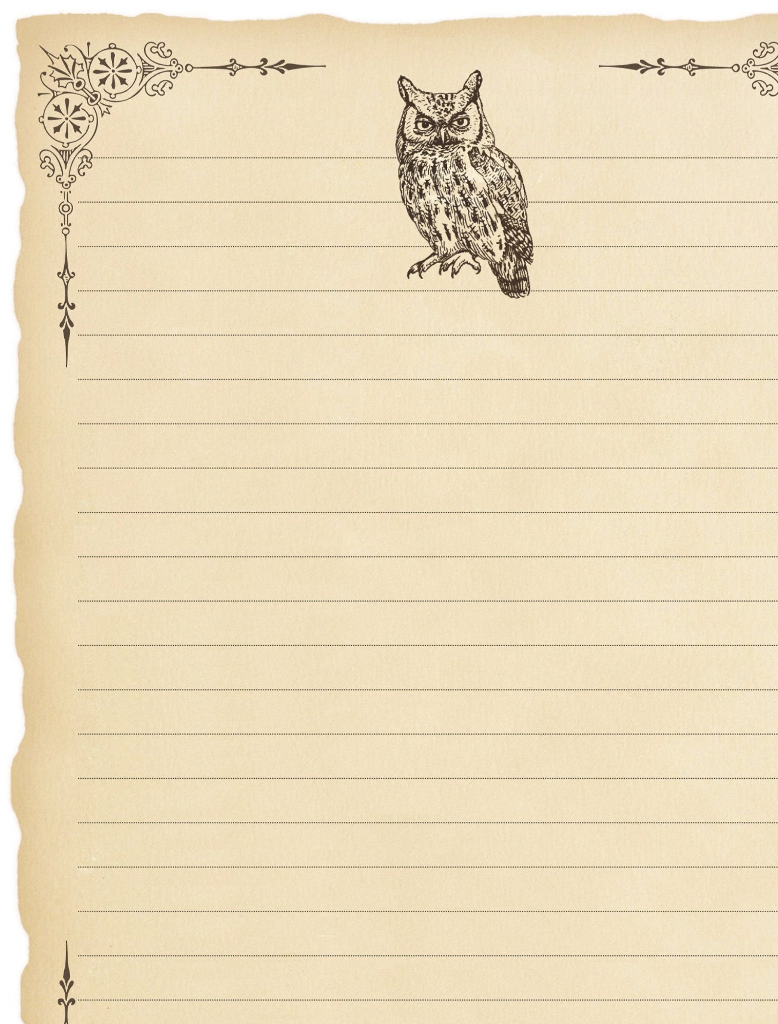 Printable Owl Parchment Paper: Wizard Party Stationery (PDF & PNG) - Etsy